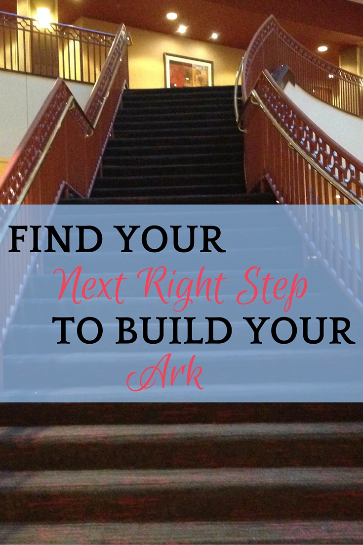 Find Your Next Right Step To Build Your Ark | Do A New Thing