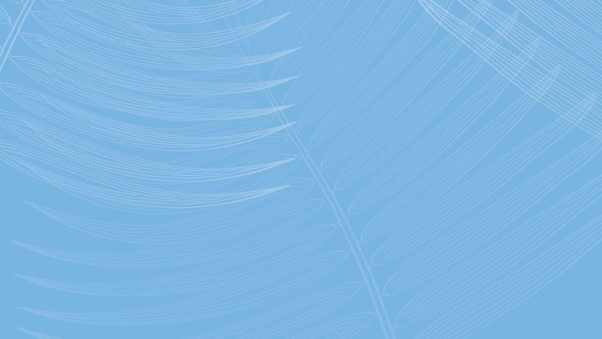 Christa-header-palms | Do A New Thing