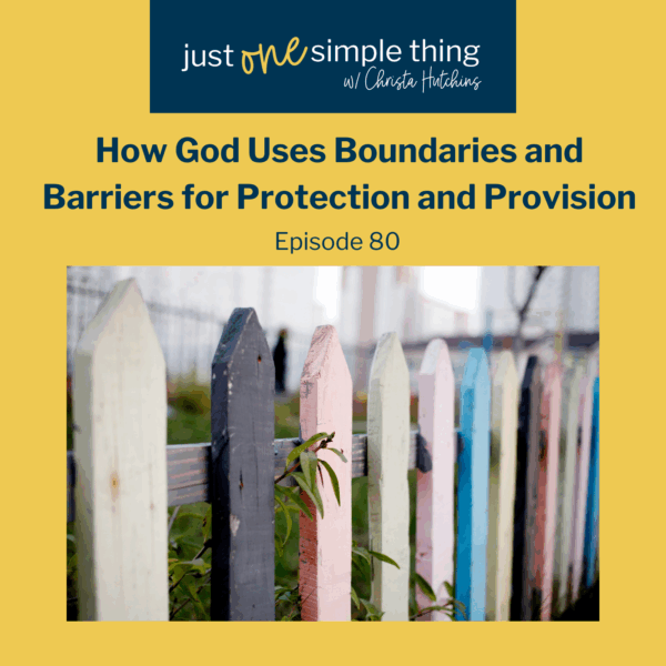 Episode 80: How God Uses Boundaries And Barriers For Protection And ...